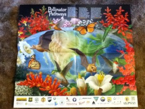 Pollinator Pathways poster from NRCS Distribution Center